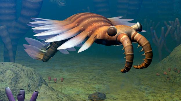 BBC - Earth - What was Earth's first predator and when did it live?