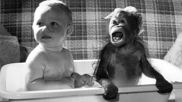 BBC - Earth - Did Charles Darwin use his children for science?