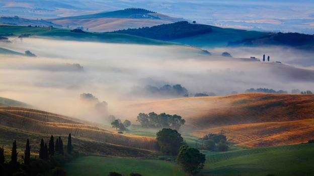 Oreopithecus lived over seven million years ago, before human evolution ...