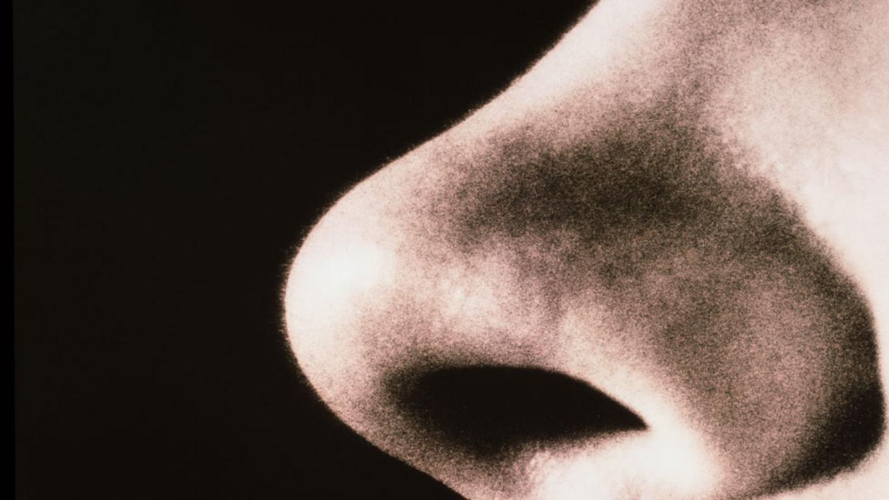 Why do we pick our nose? - BBC Future