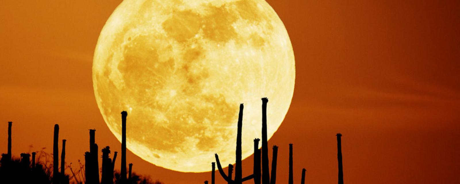 Does a full moon make people mad? - BBC Future