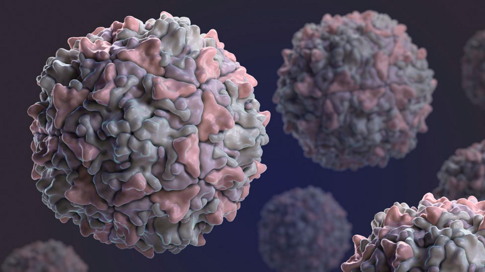 Hungary’s Cold War battle with polio - BBC Future