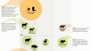 Cloning - BBC Future