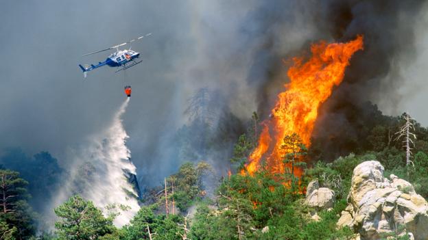 BBC - Earth - Why we should let raging wildfires burn BBC - Earth - Why we should let raging wildfires burn