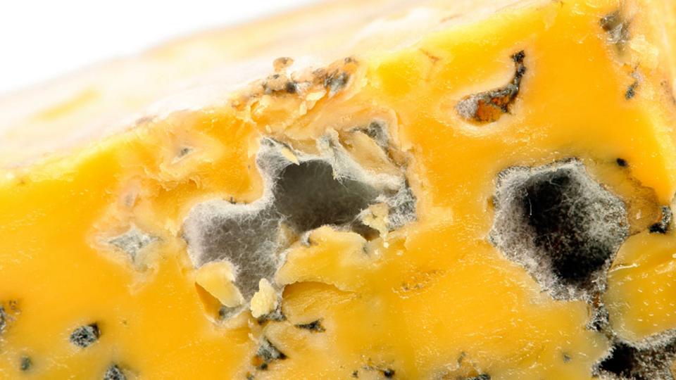 The strange world inside cheese - BBC Future