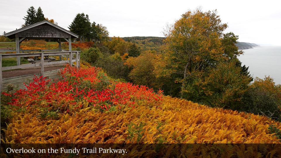 The Phenomenal Bay of Fundy | Your Discovery | BBC StoryWorks