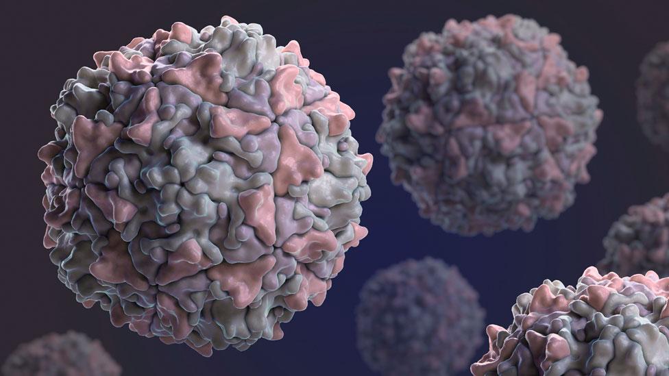 Hungary’s Cold War battle with polio - BBC Future