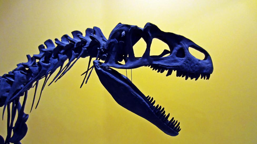 Extinction - BBC Future