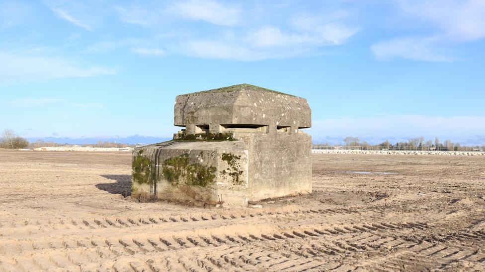 The surprising and eerie beauty of World War Two bunkers - BBC Future