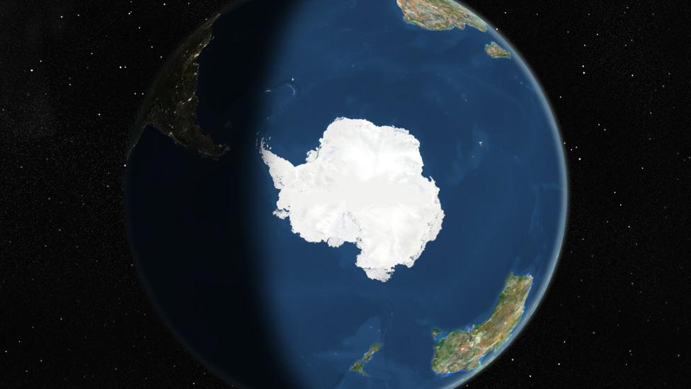 The bones that could shape Antarctica’s fate - BBC Future